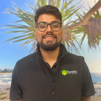 Bundilla Pest Control Sunshine Coast: The Best Local Pest & Termite Control